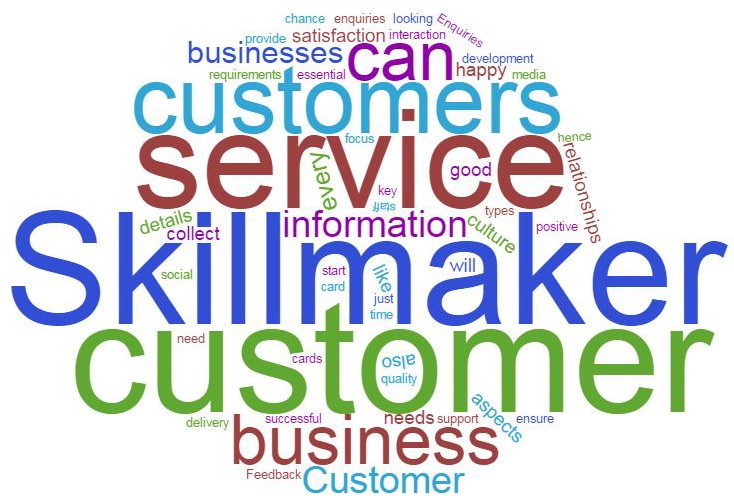 Customer Service - Skillmaker