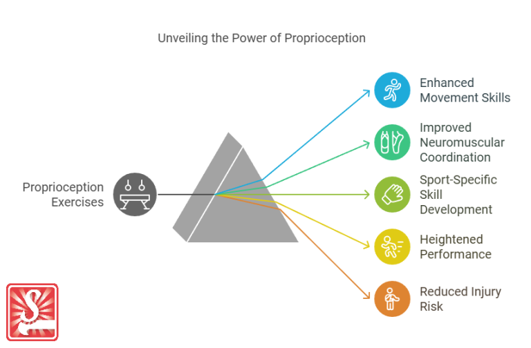 Understanding Proprioception Exercises in Strength and Conditioning ...
